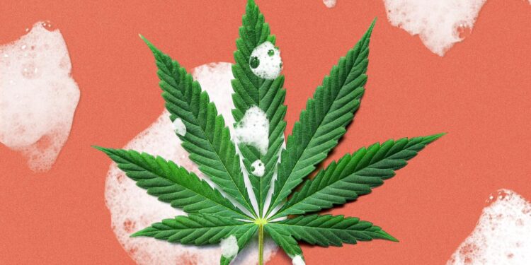 Can You Overdose on Weed? Everything You Need to Know
